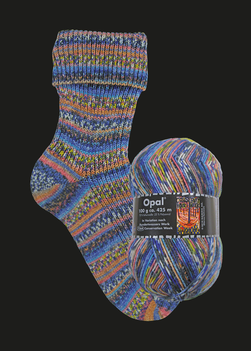 Opal Yarns Hundertwasser 4 Ply - 3201 Conservation Week – True North Yarn Co.
