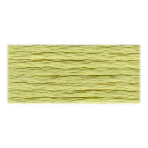 DMC #1008F Satin Floss - S472 Very Light Avocado Green – True North Yarn Co.