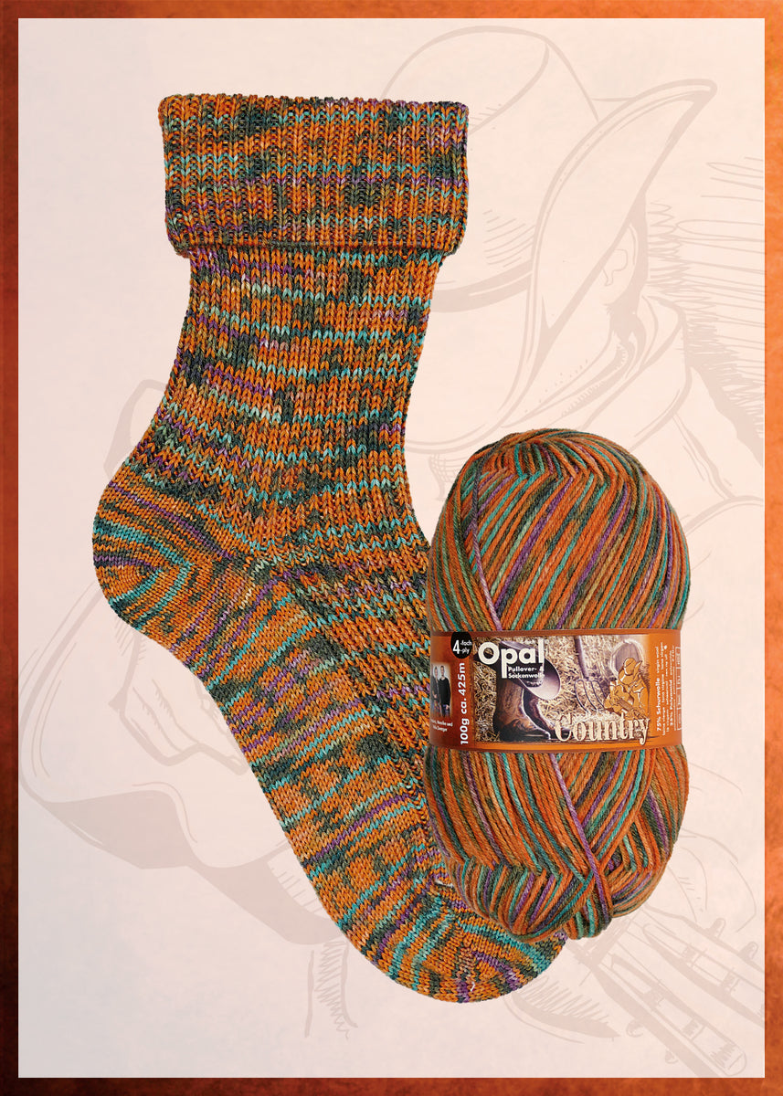 Opal Country 4 Ply - 11296 Comfortably Worn – True North Yarn Co.