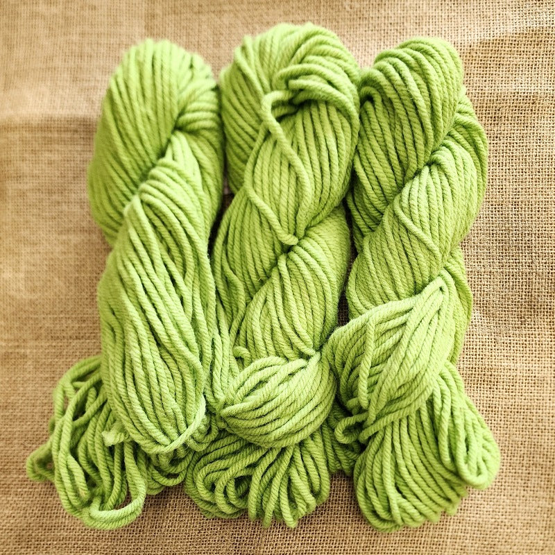 Briggs & Little Super - Fern Green – True North Yarn Co.