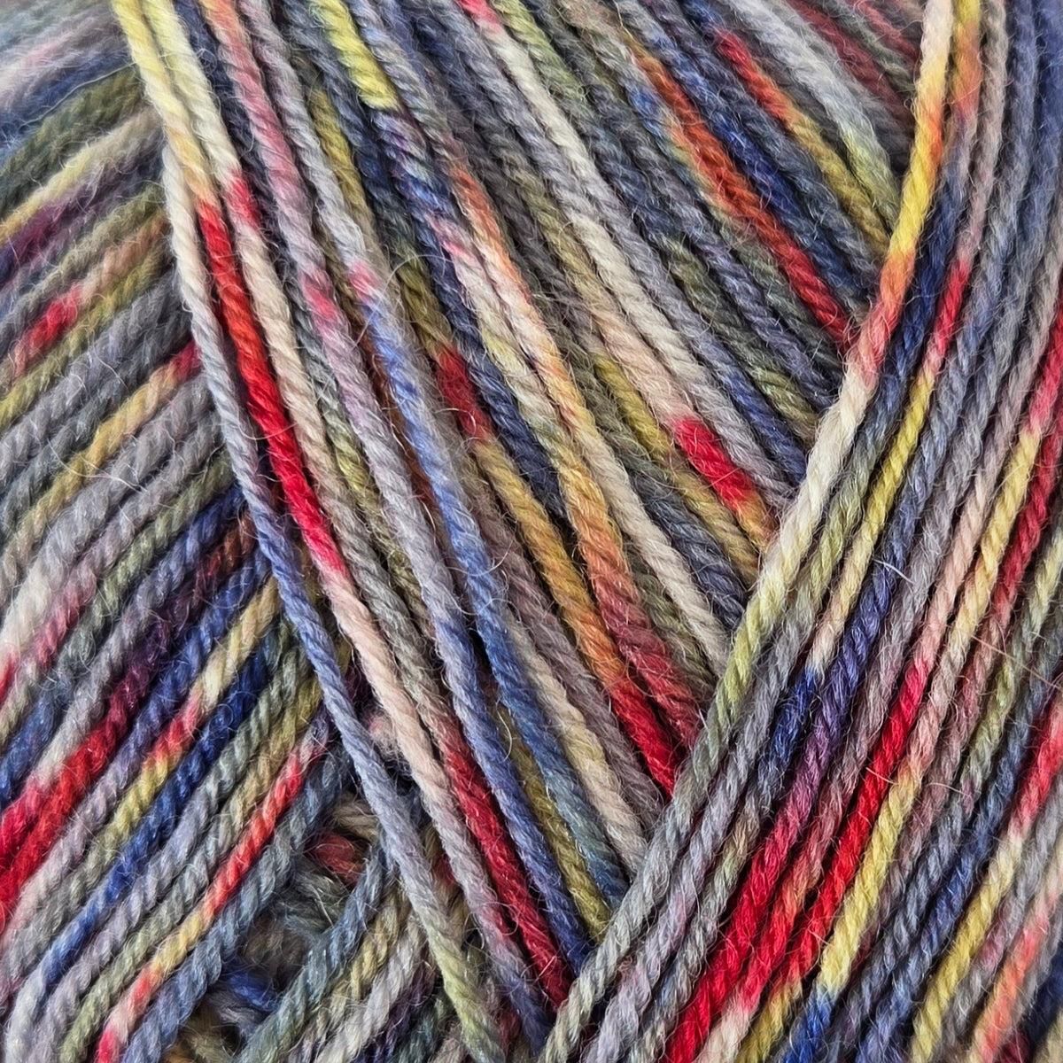 Regia Flower Power Color 4-Ply 100g - 9387 Festival – True North Yarn Co.