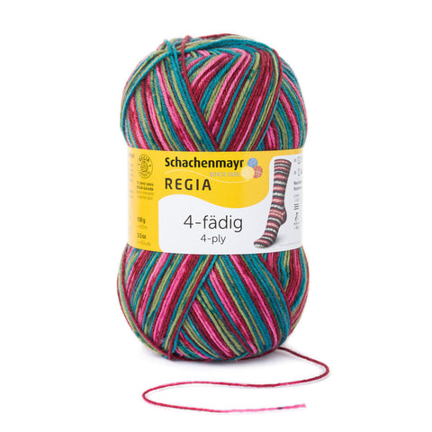 Regia Color 4-Ply 100g - 7707 Snow Suit – True North Yarn Co.
