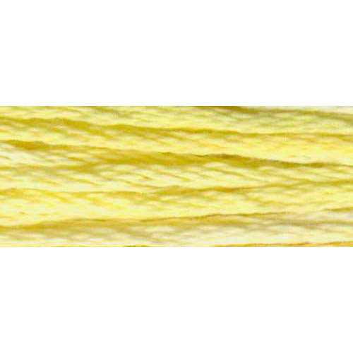 DMC #417 Color Variations Floss - 4080 Daffodil Fields – True North ...