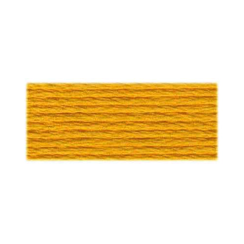 DMC #117 Cotton Floss - 725 Topaz – True North Yarn Co.