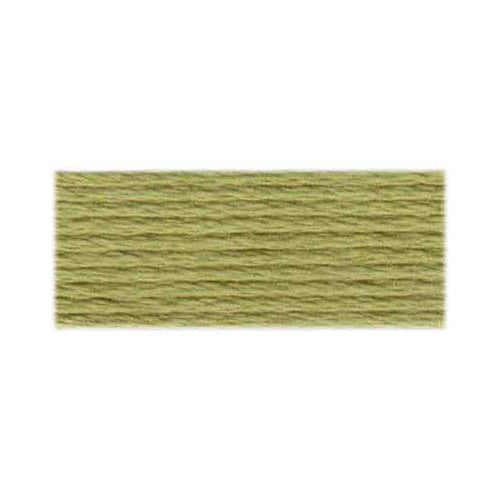 DMC #117 Cotton Floss - 3013 Light Khaki Green – True North Yarn Co.