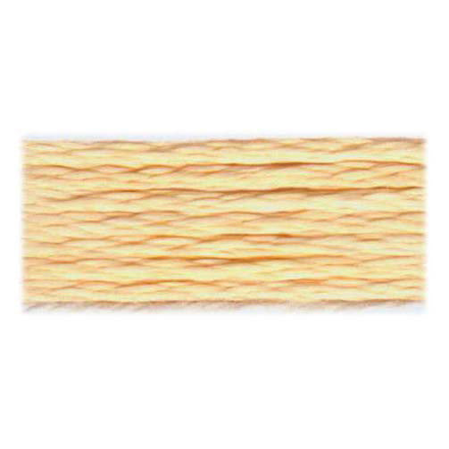 DMC #1008F Satin Floss - S745 Pale Yellow – True North Yarn Co.